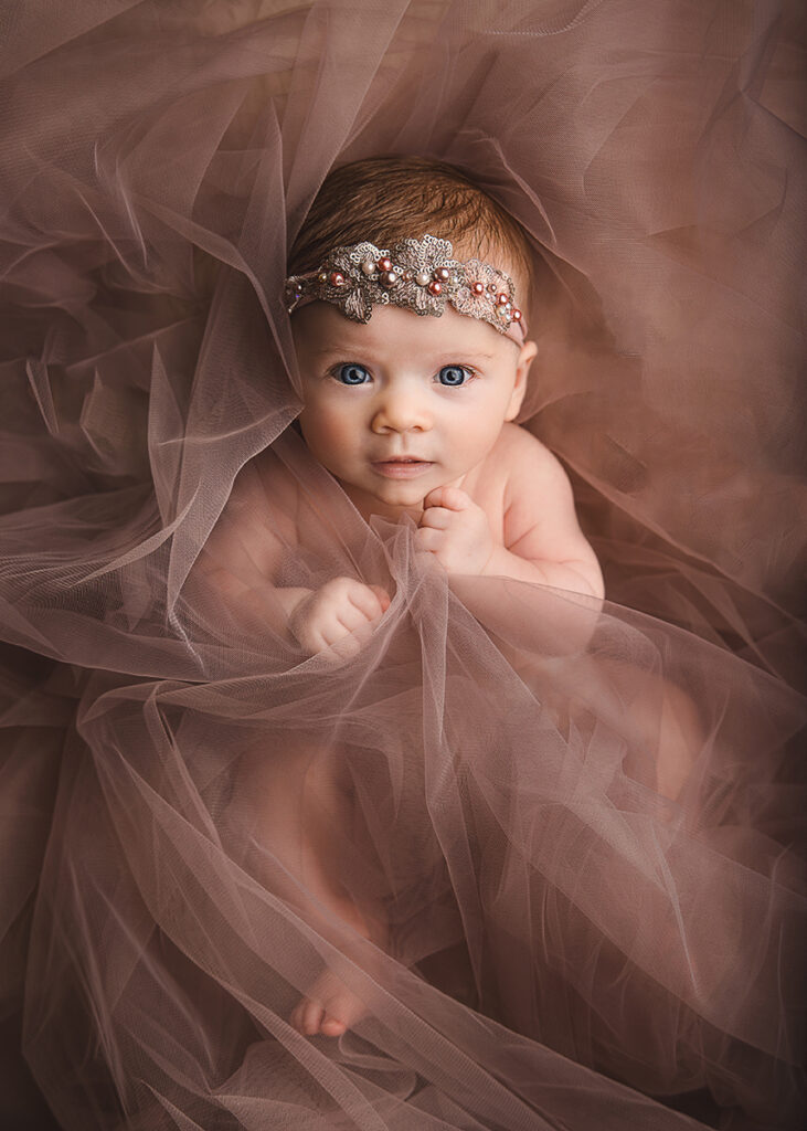 Little Primrose Photography – Newborn and Portrait Photographer based ...