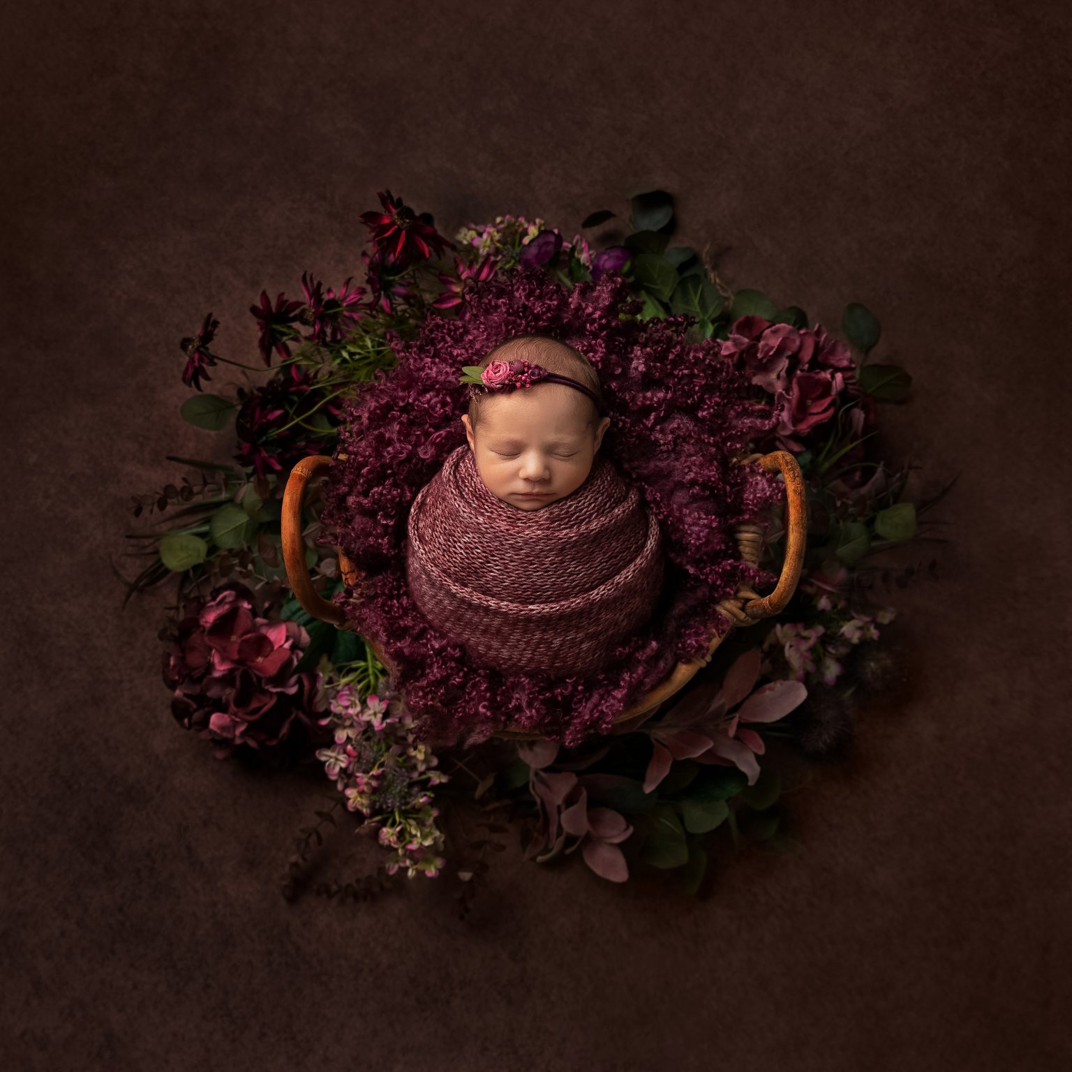 Newborn Portfolio – Little Primrose Photography