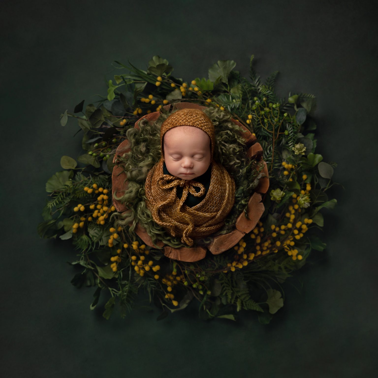 Newborn Portfolio – Little Primrose Photography