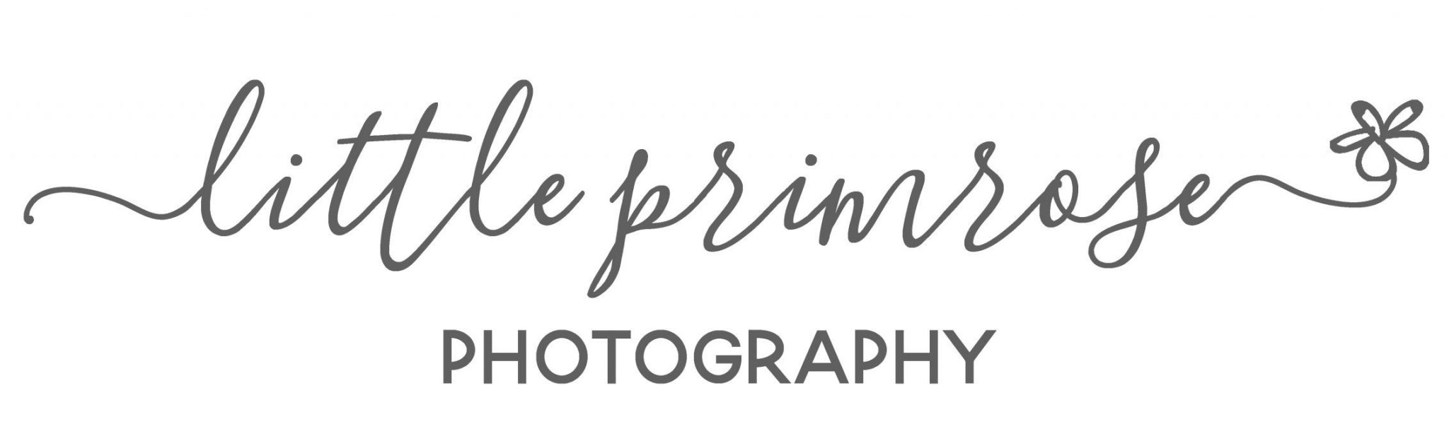 Newborn – Little Primrose Photography