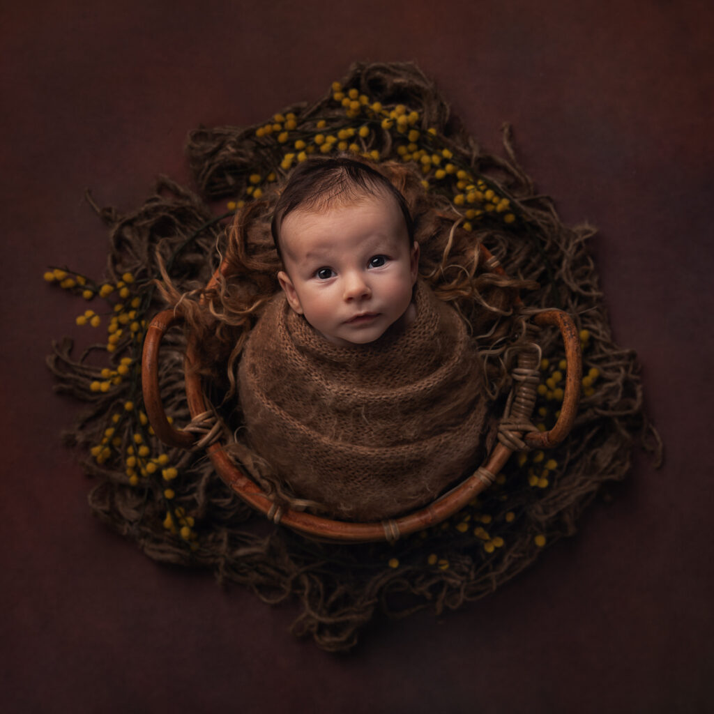 Newborn Session Information – Little Primrose Photography