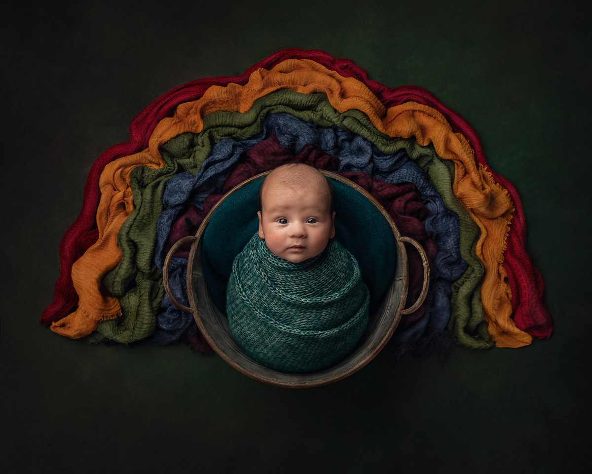 Newborn Photographer of the Year! – Little Primrose Photography