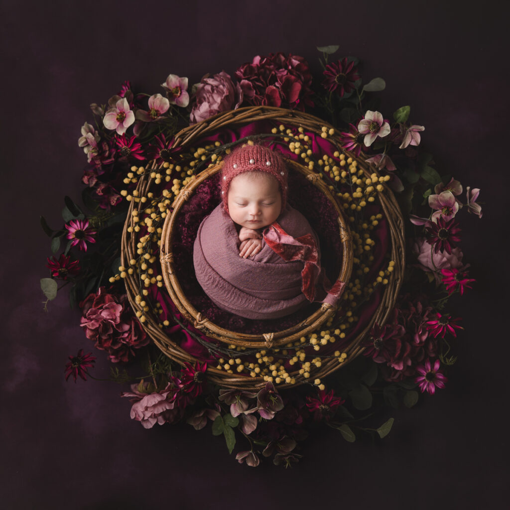 Newborn Portfolio – Little Primrose Photography