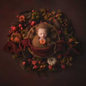 Newborn – Little Primrose Photography