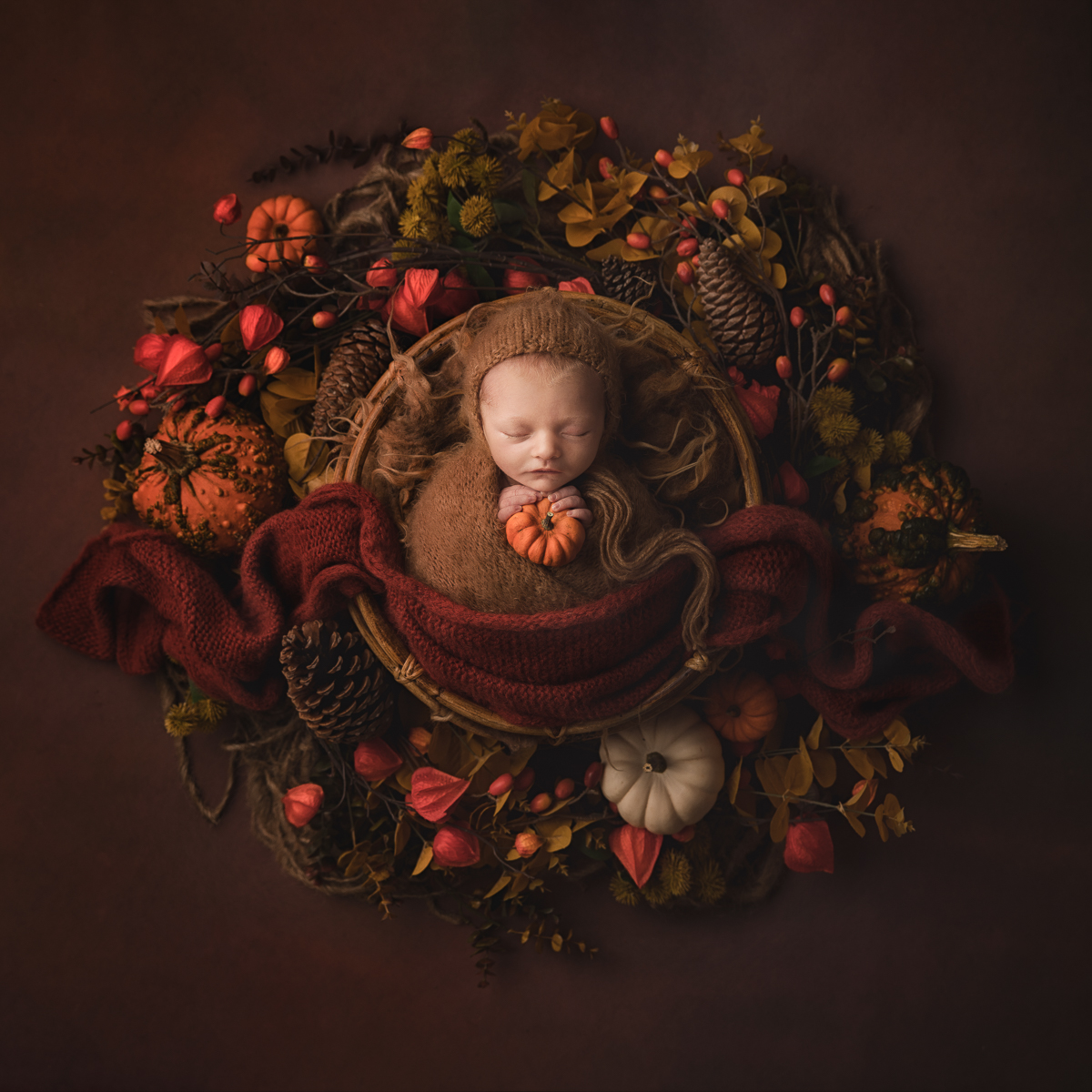 Newborn – Little Primrose Photography