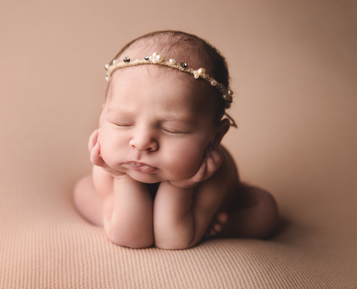 Newborn Session Information – Little Primrose Photography