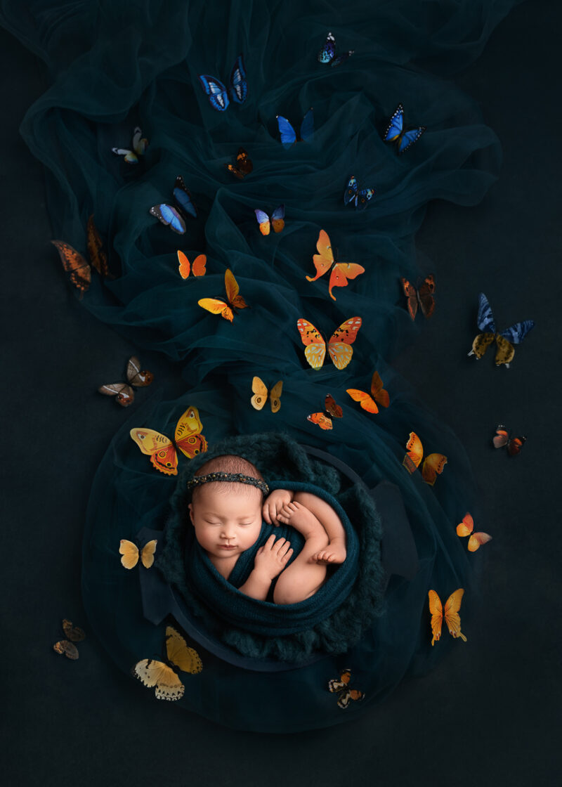 Little Primrose Photography – Newborn and Portrait Photographer based ...