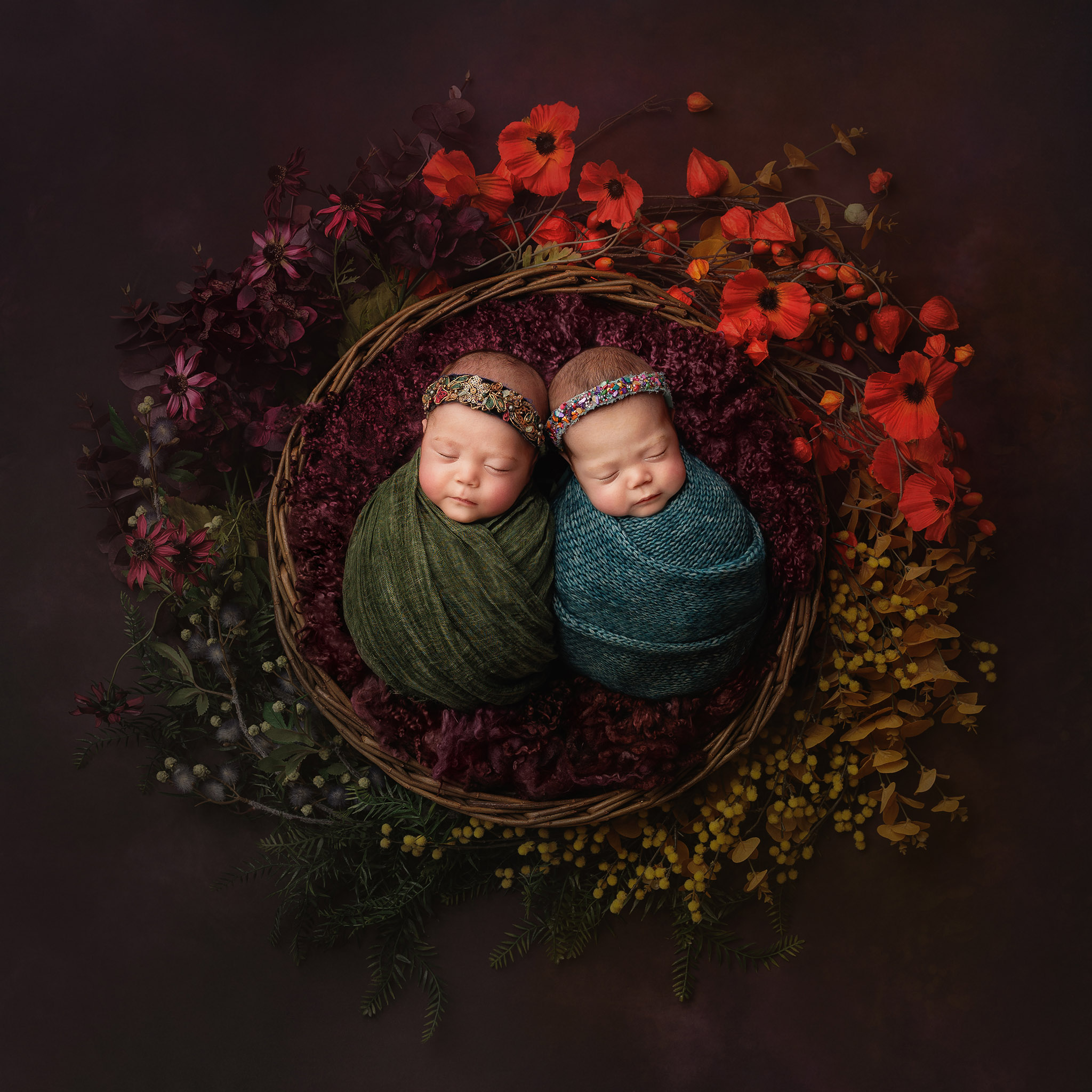 Little Primrose Photography – Newborn and Portrait Photographer based ...